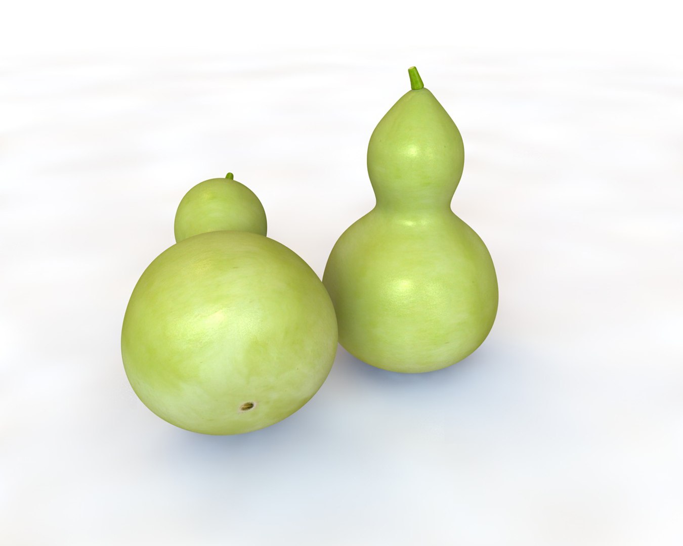 Gourd 3D model - TurboSquid 1544604