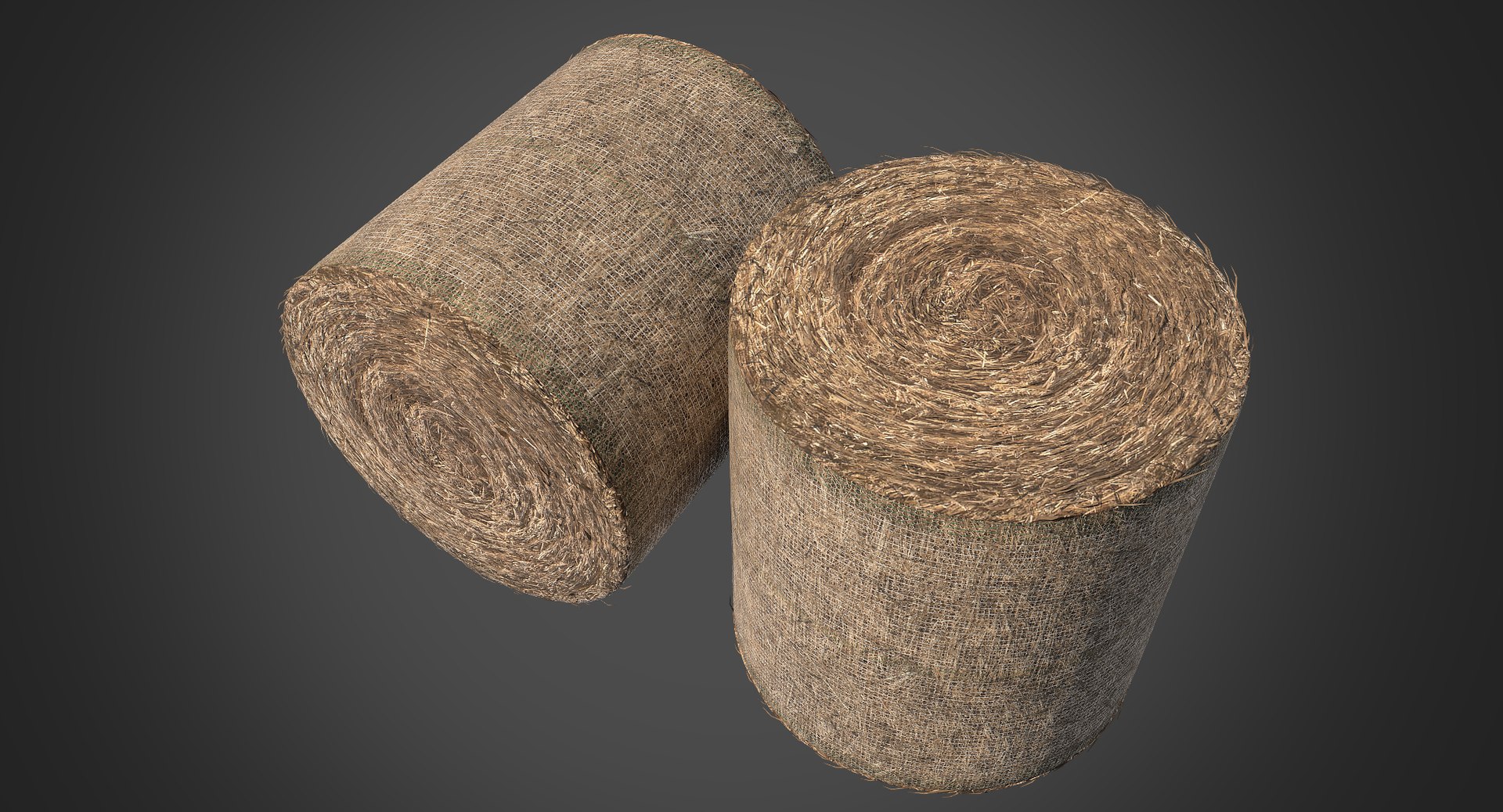 3D Model Hay Bale - TurboSquid 1603475