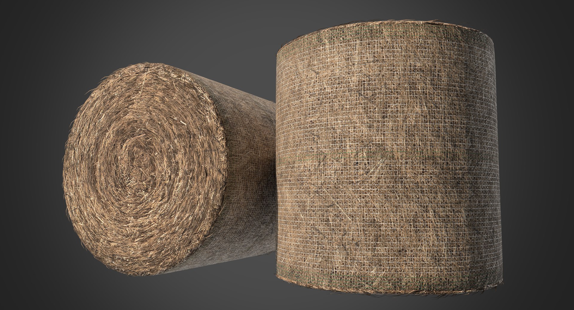 3D Model Hay Bale - TurboSquid 1603475