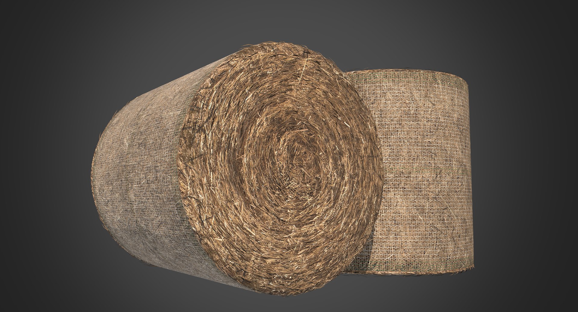 3D Model Hay Bale - TurboSquid 1603475