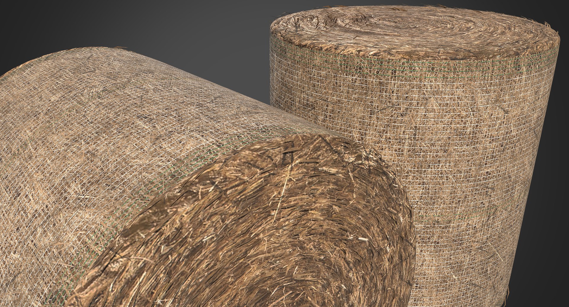 3D Model Hay Bale - TurboSquid 1603475