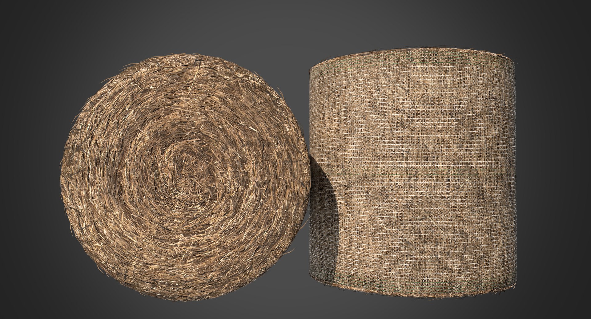 3D Model Hay Bale - TurboSquid 1603475