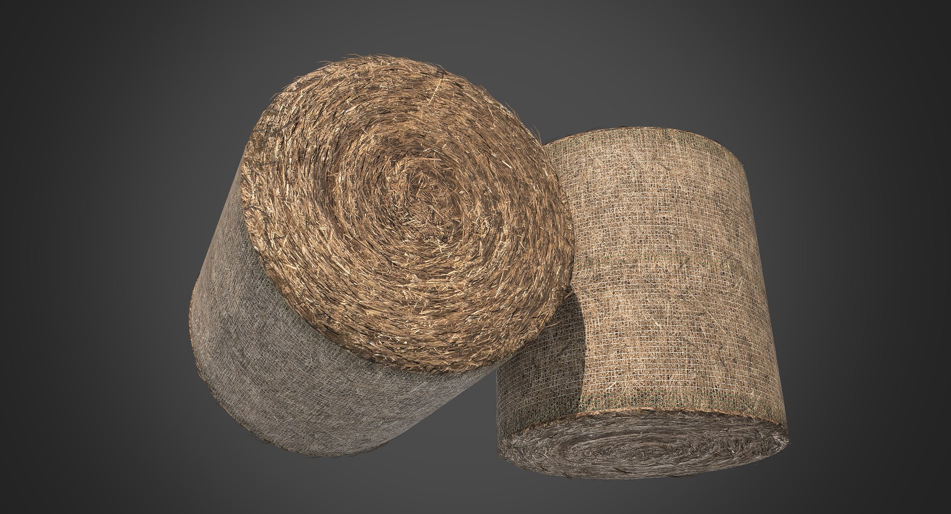 3D Model Hay Bale - TurboSquid 1603475