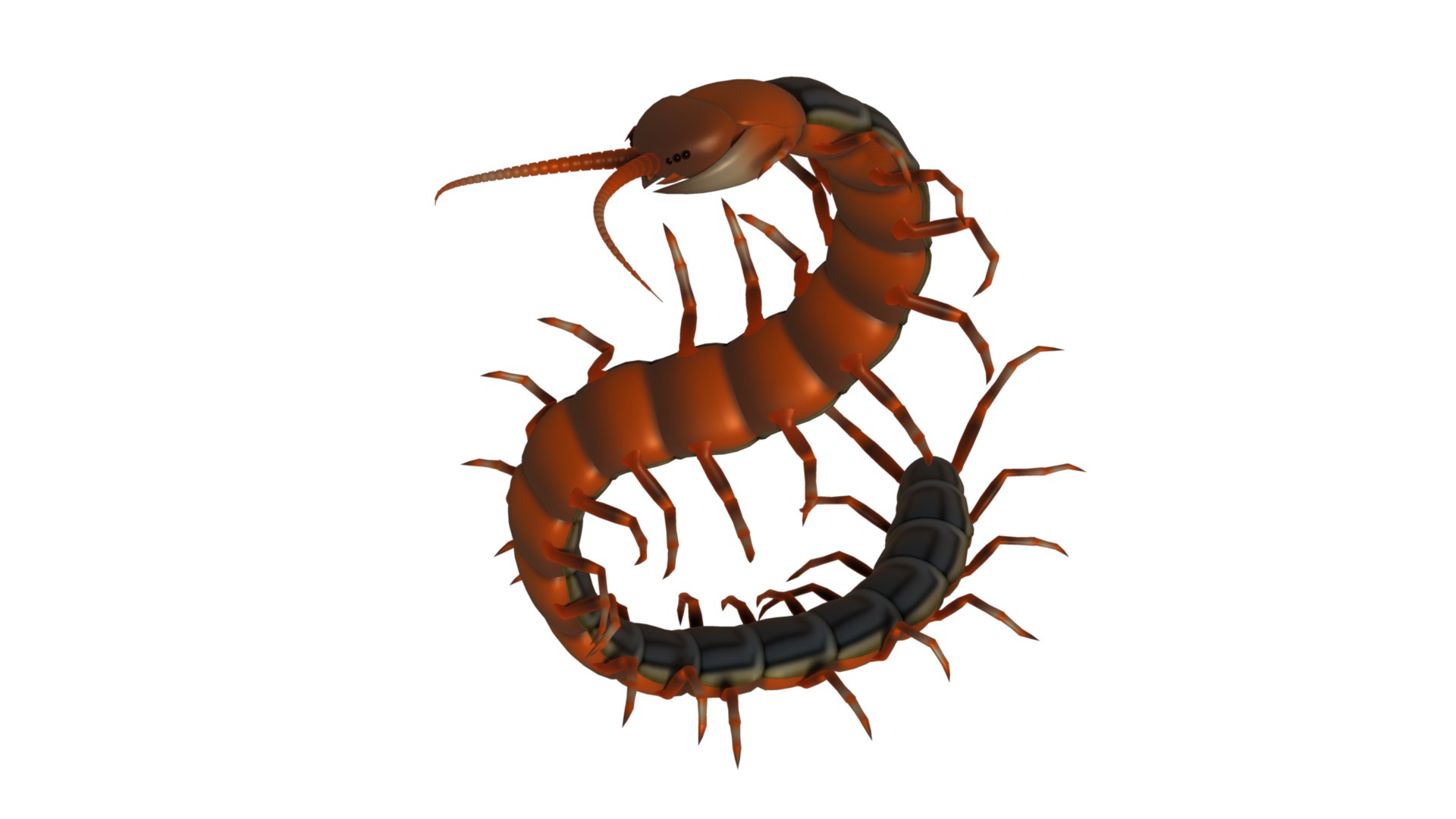 3D centipede model - TurboSquid 2031232