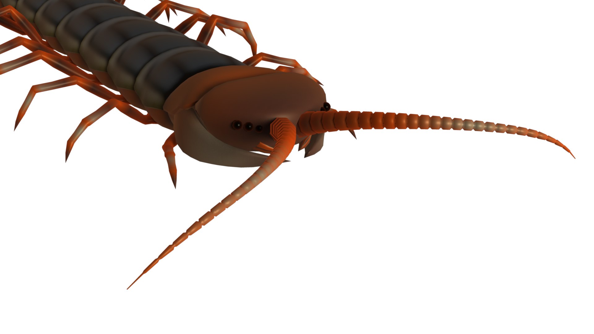 3D centipede model - TurboSquid 2031232