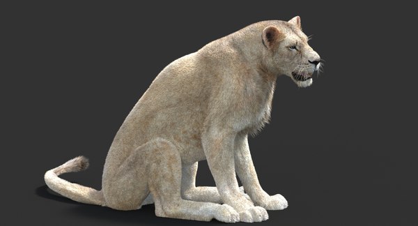 3D lioness 2 fur colors model - TurboSquid 1153348