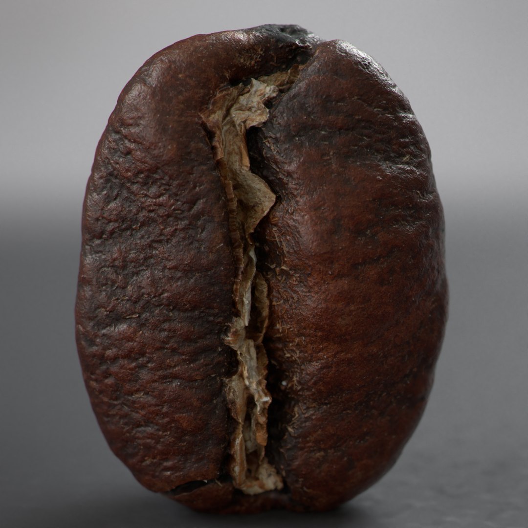 3D scan coffee beans model - TurboSquid 1348943