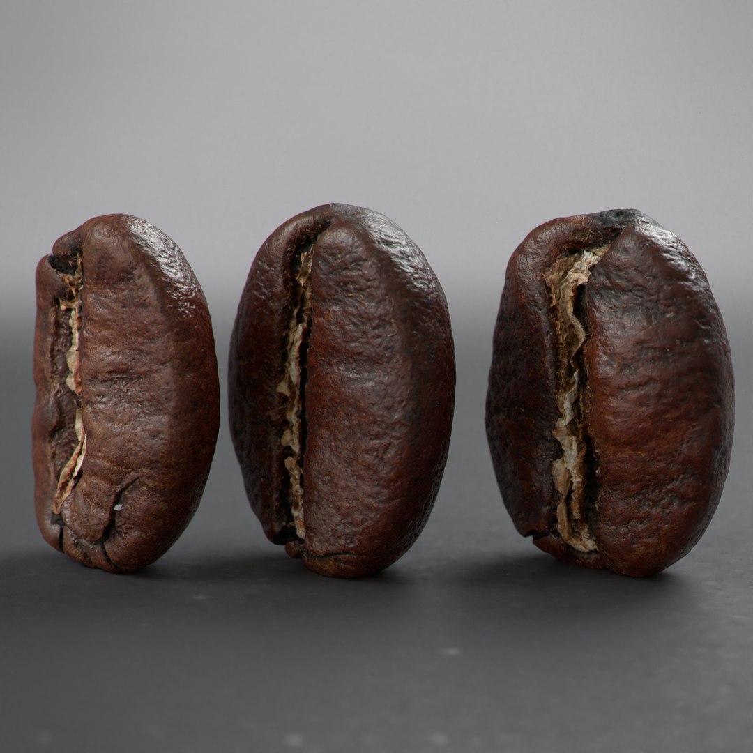 3D scan coffee beans model - TurboSquid 1348943