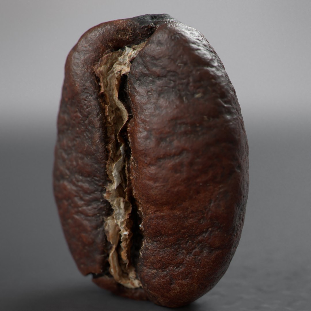 3D scan coffee beans model - TurboSquid 1348943