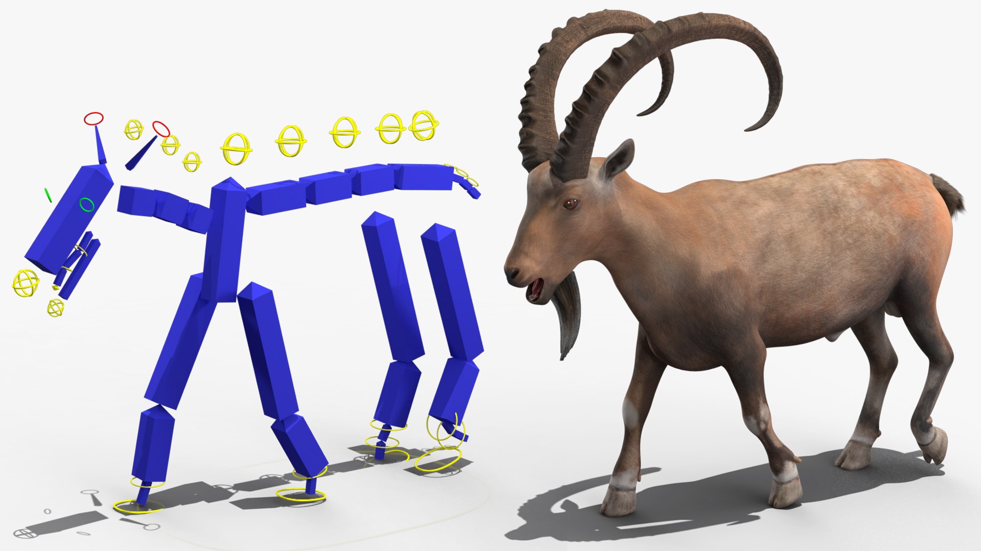3D Alpine Ibex Rigged Model - TurboSquid 2219806