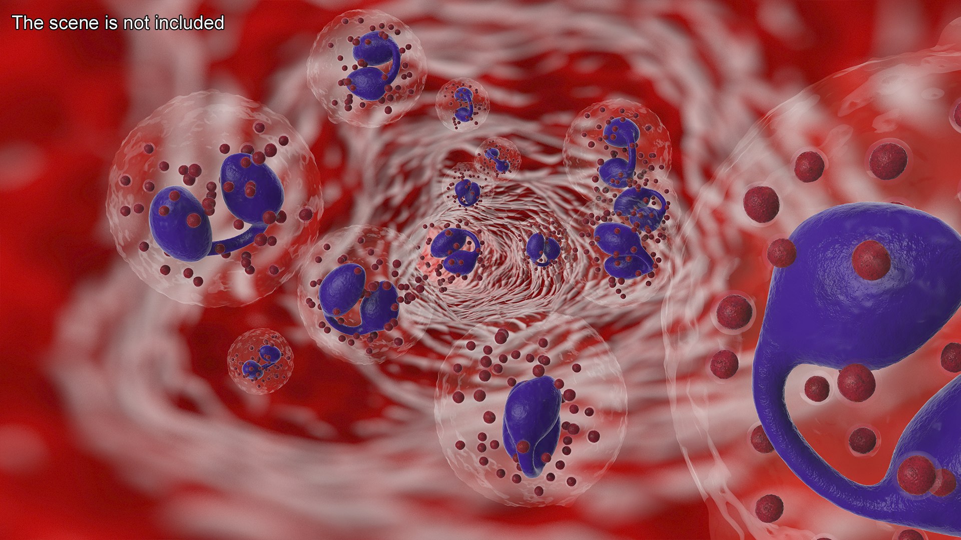 Eosinophil Blood Cell 3D Model - TurboSquid 2131829