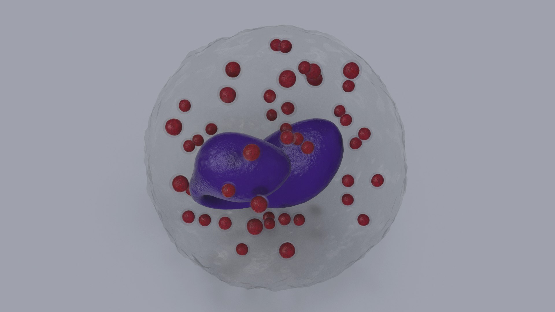 Eosinophil Blood Cell 3D Model - TurboSquid 2131829