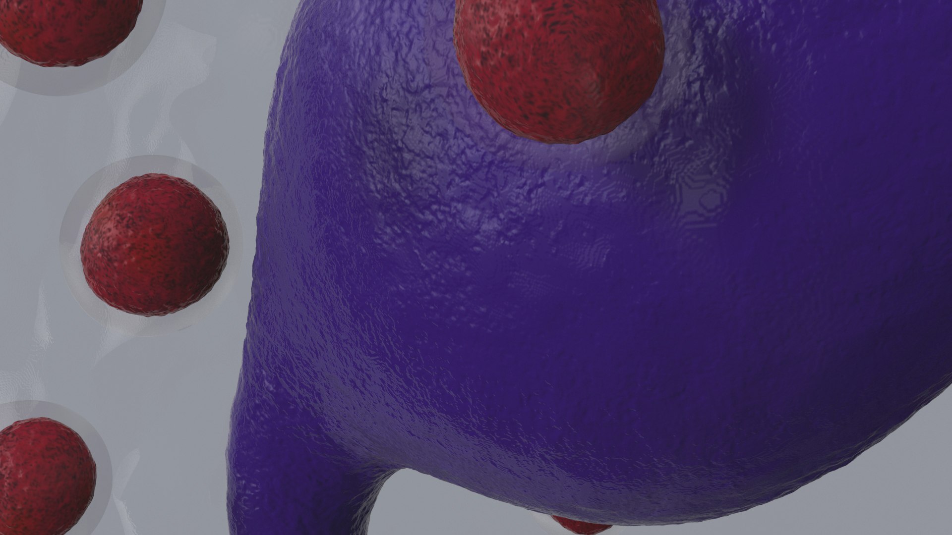 Eosinophil Blood Cell 3D Model - TurboSquid 2131829