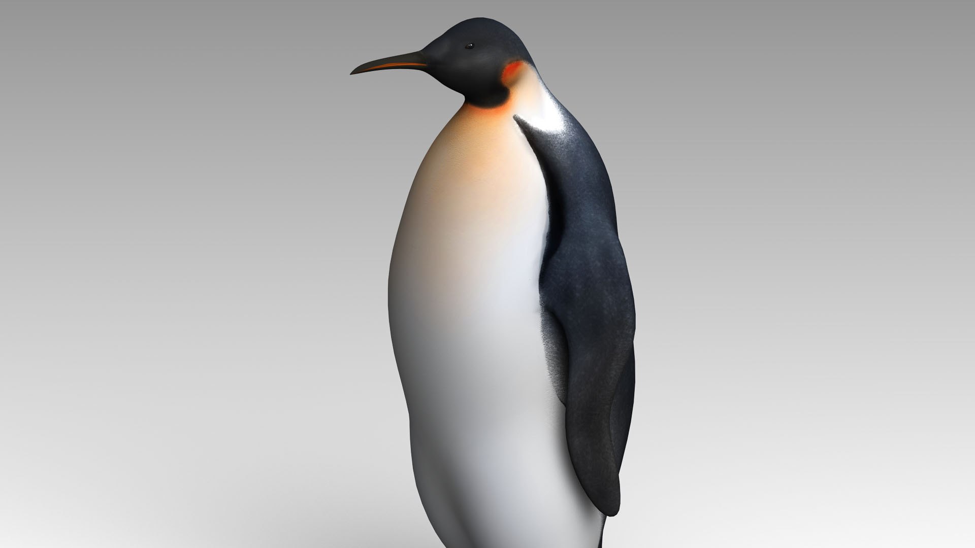 Emperor Penguin 3D Model - TurboSquid 1481217