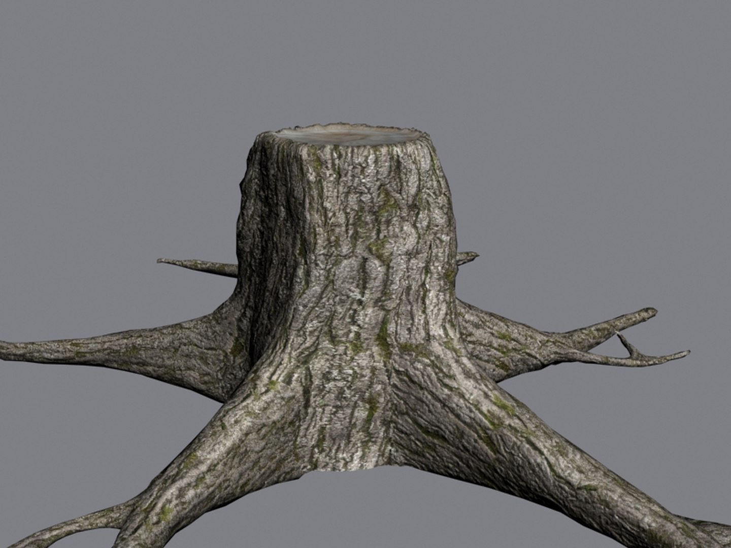 3d tree stump