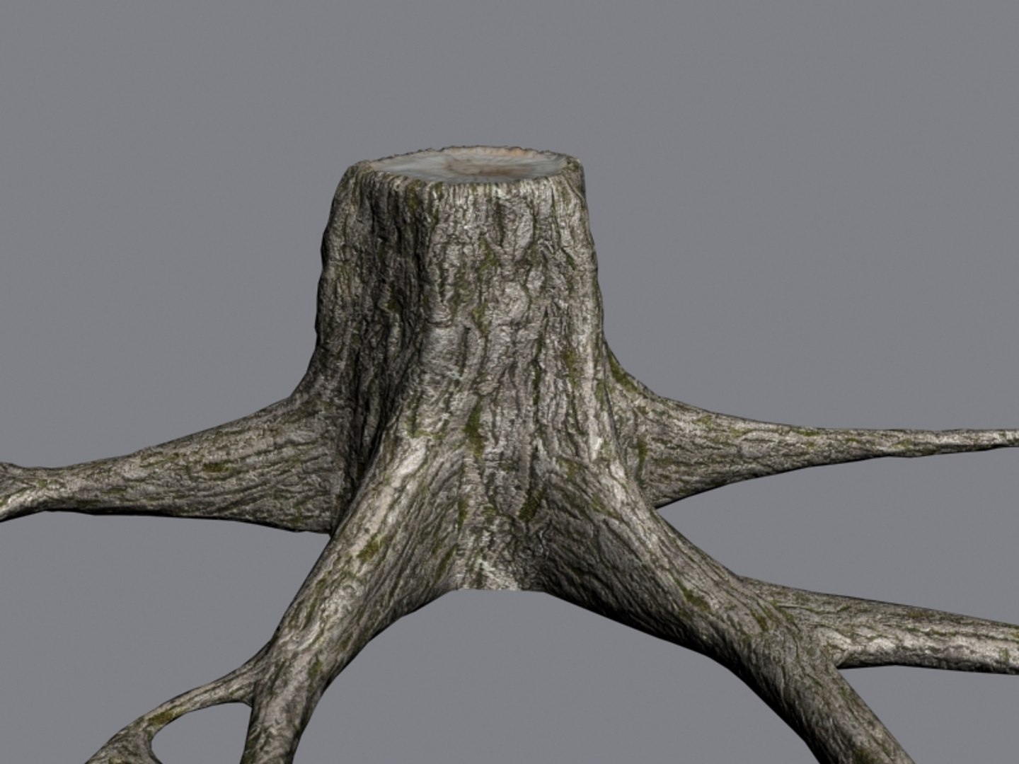 3d tree stump