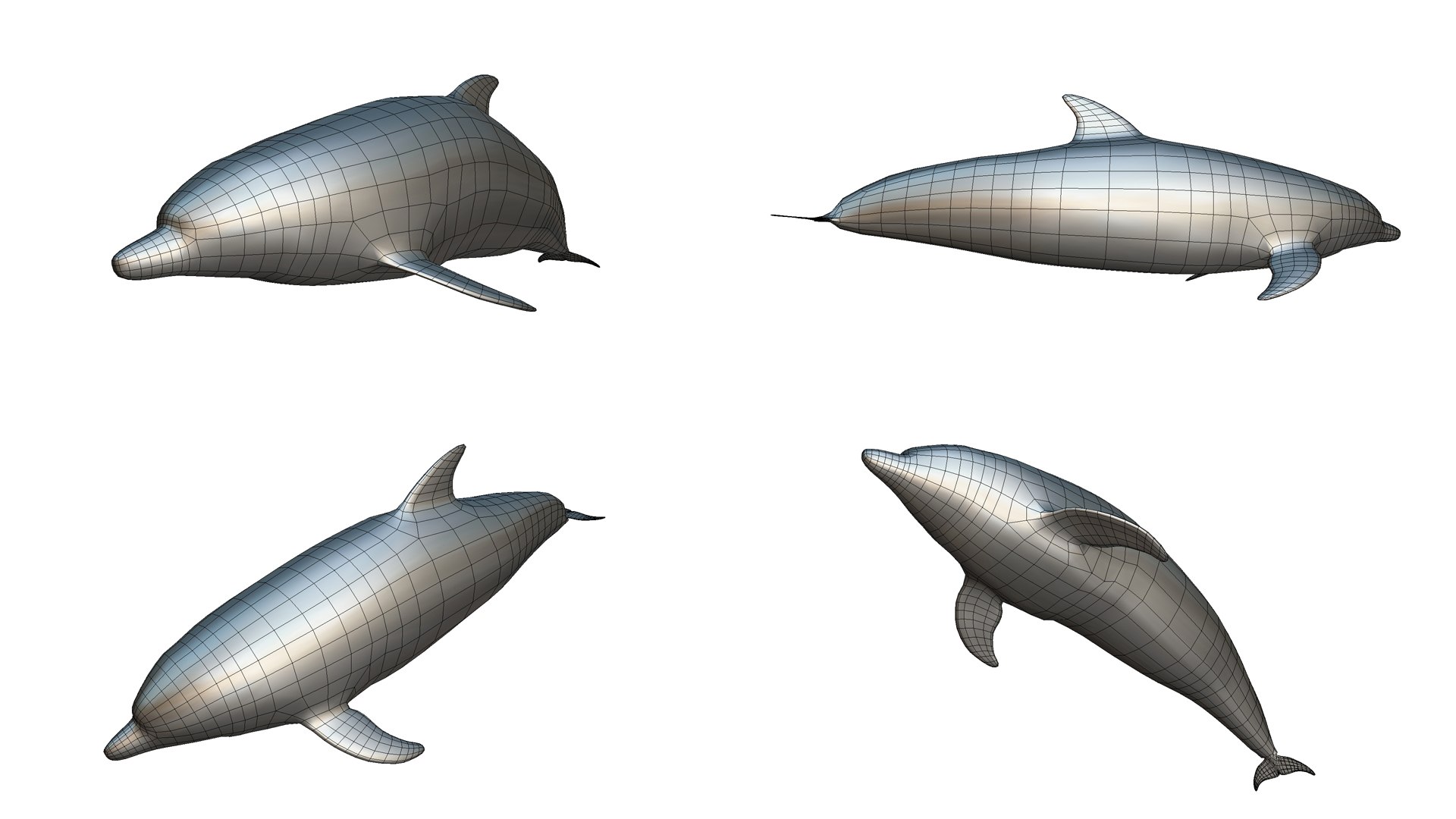 Big fish illustration - 3D - TurboSquid 1331675