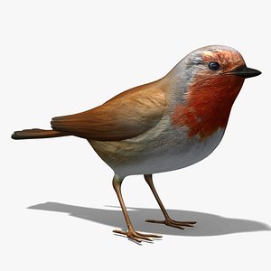 Robin 3D Models for Download | TurboSquid