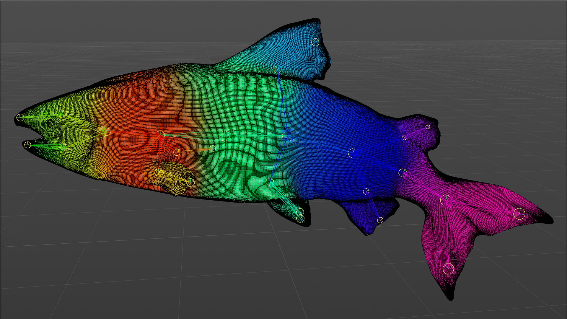 3D salmon rigged l739 animate - TurboSquid 1566478