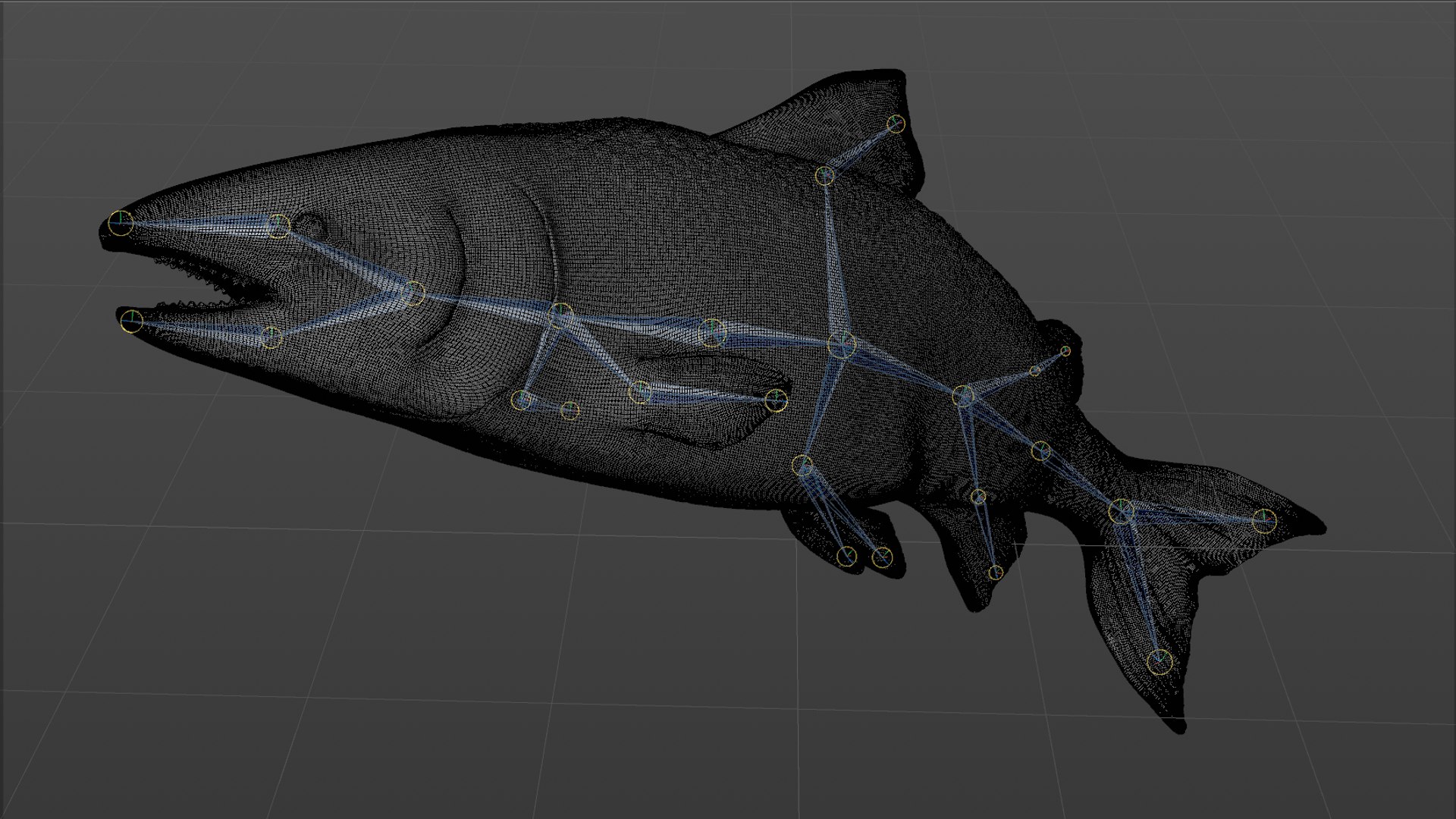 3D salmon rigged l739 animate - TurboSquid 1566478