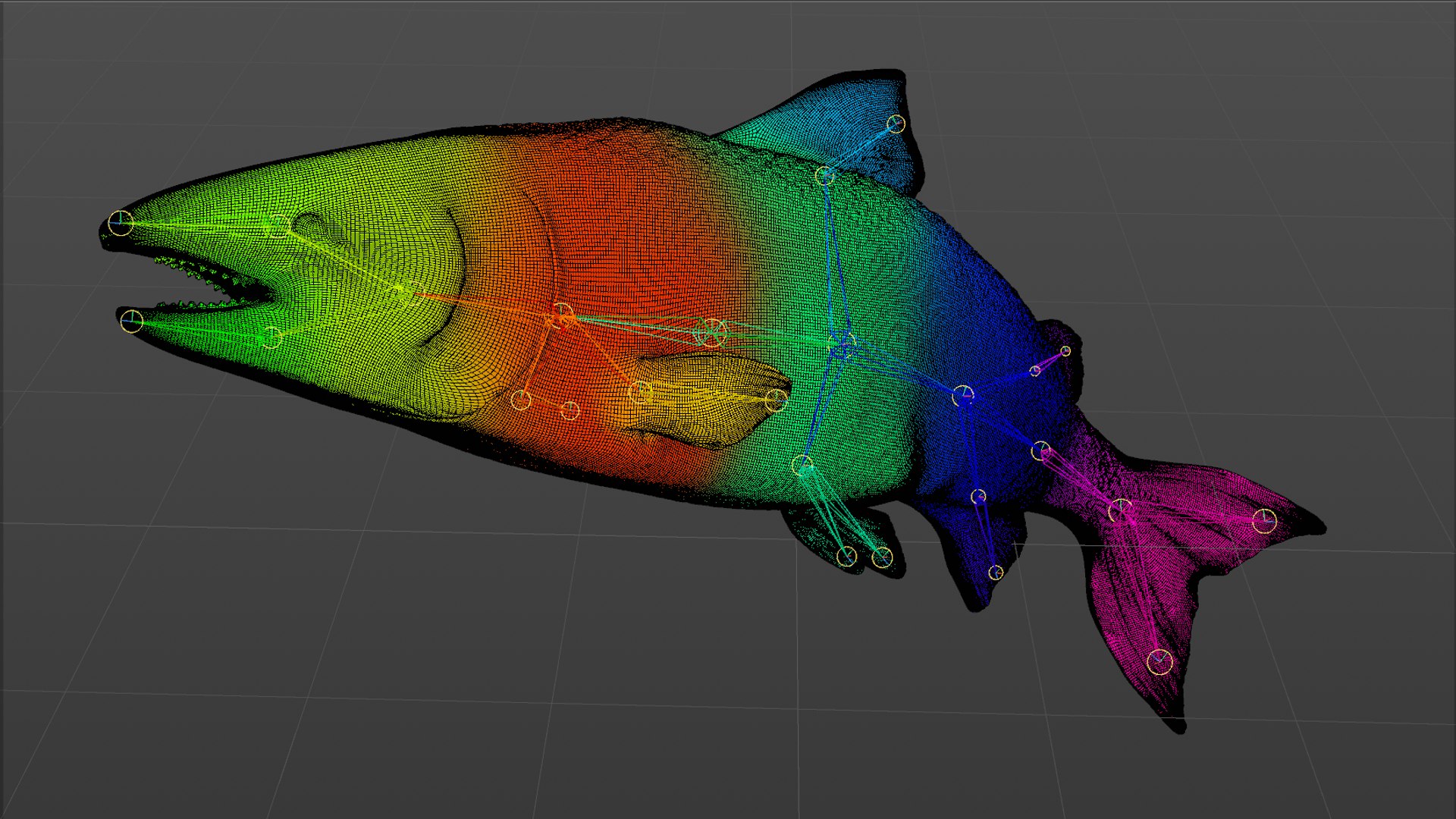 3D salmon rigged l739 animate - TurboSquid 1566478