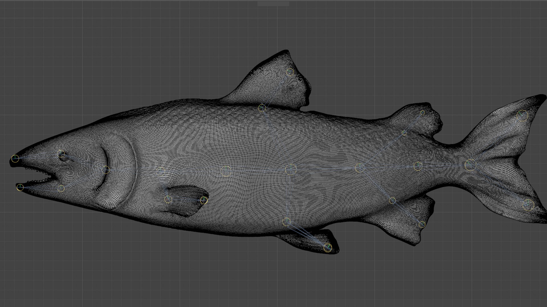 3D salmon rigged l739 animate - TurboSquid 1566478