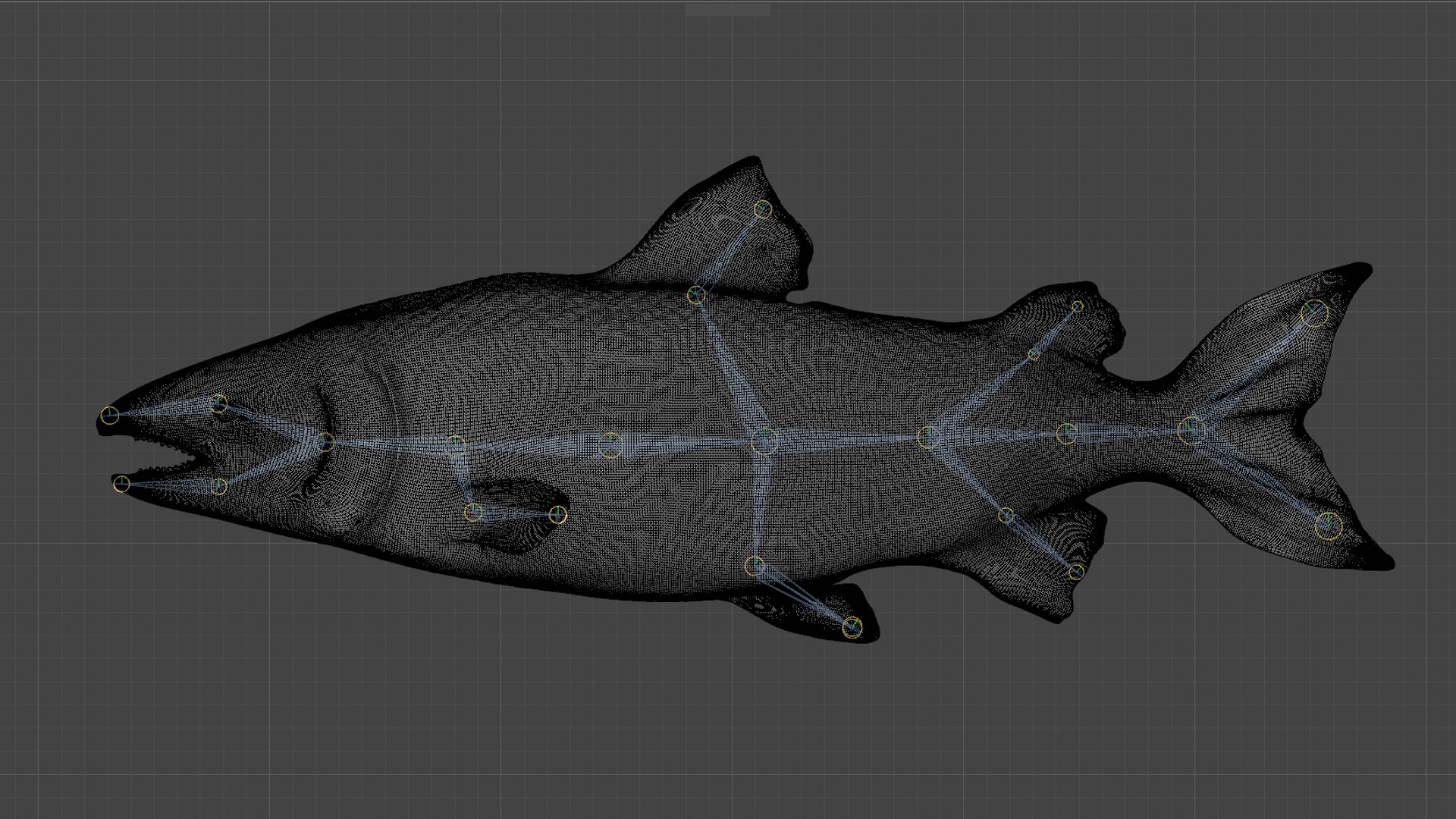 3D salmon rigged l739 animate - TurboSquid 1566478