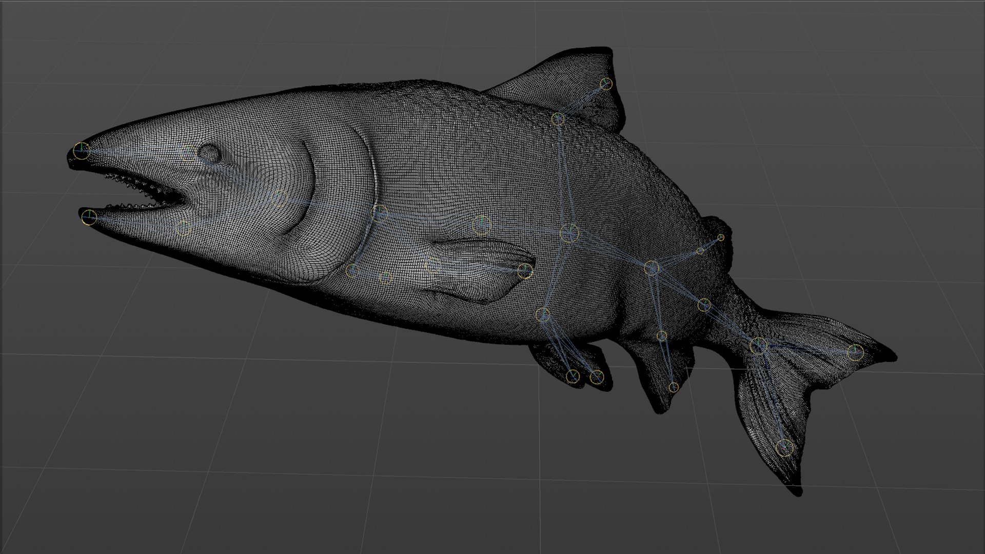 3D salmon rigged l739 animate - TurboSquid 1566478