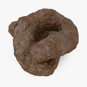Free 3D Poop Models | TurboSquid