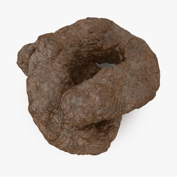 Free 3D Poop Models | TurboSquid