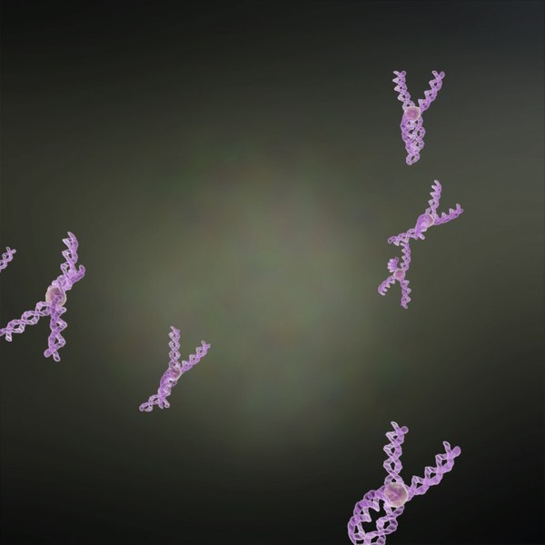 3D Chromosome Models | TurboSquid