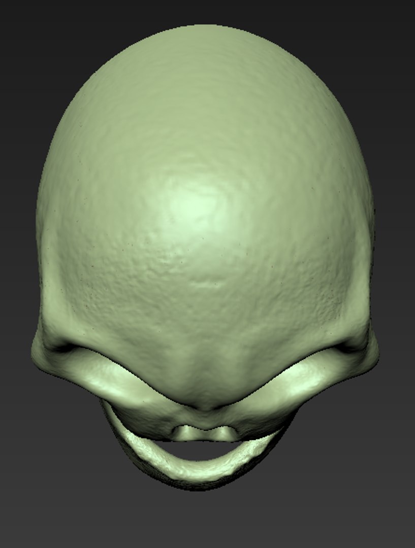 3d Skull Mudbox