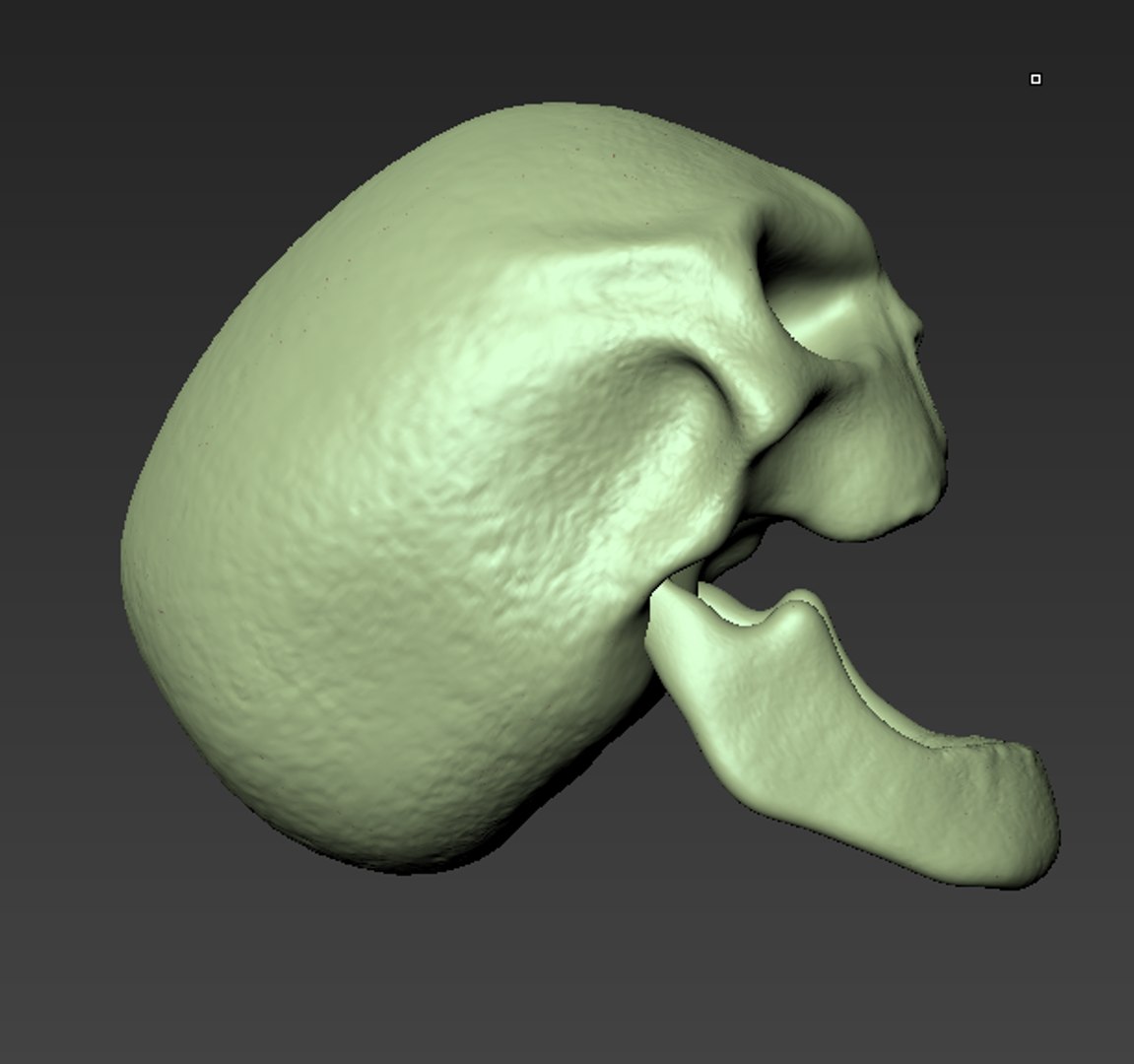 3d Skull Mudbox