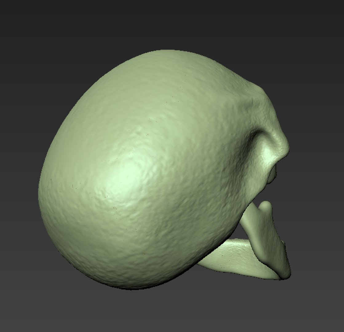 3d Skull Mudbox