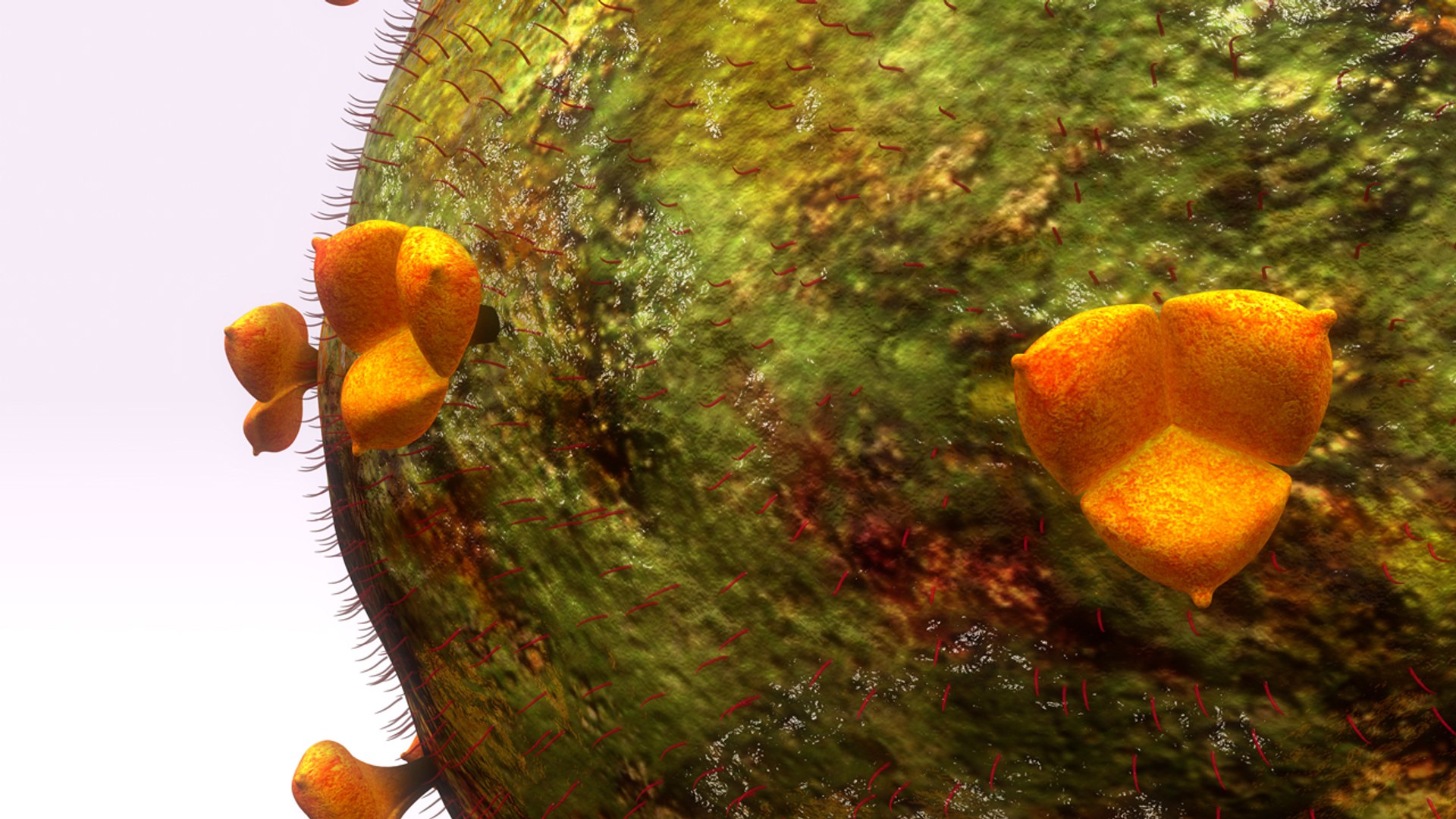 3d Model Hiv Virus