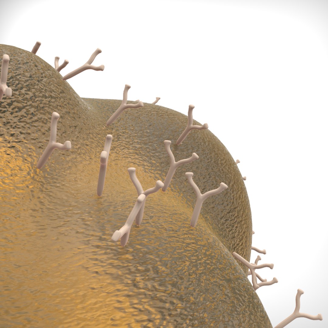 3D Model Cell - TurboSquid 1650714