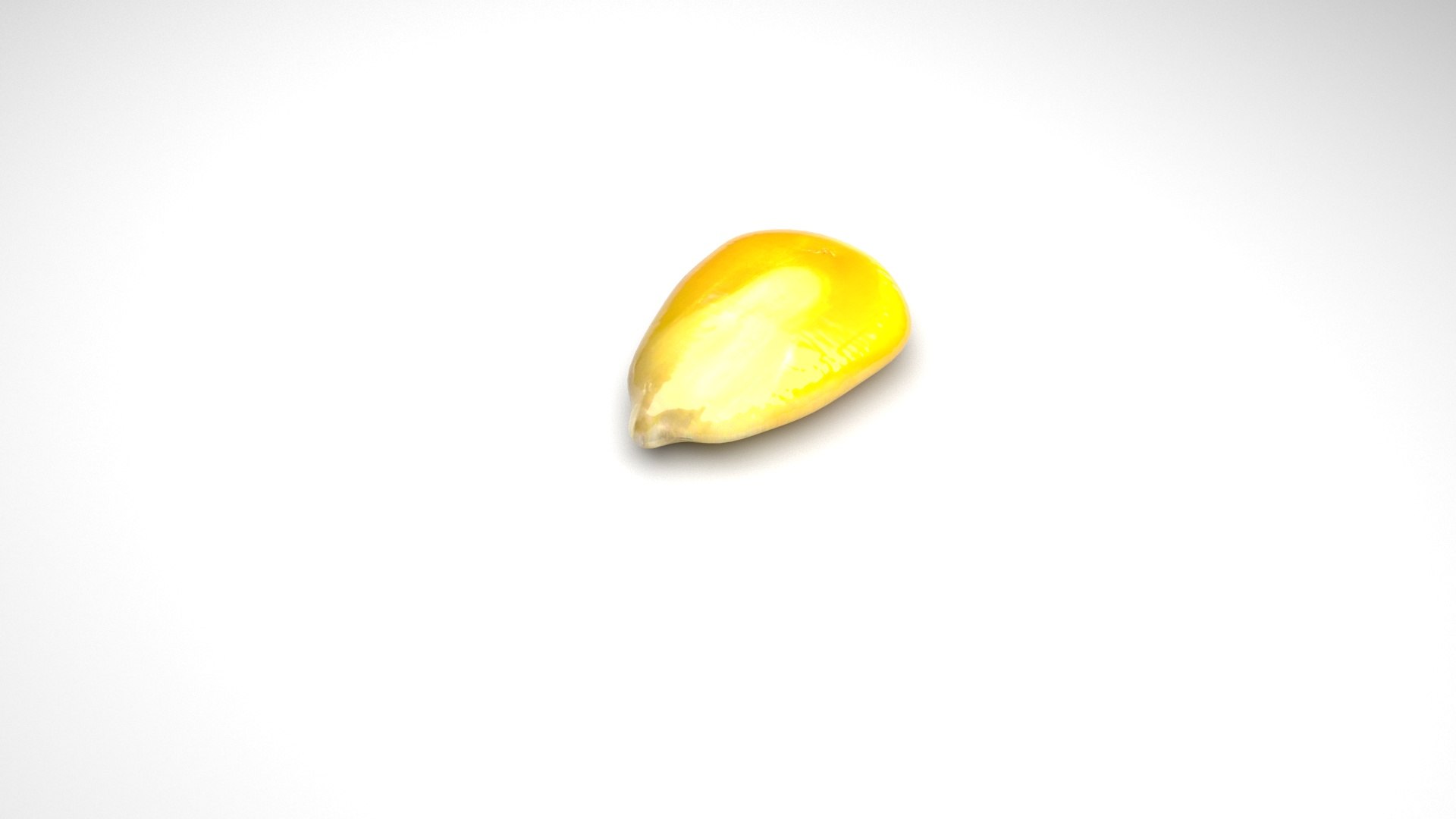 3D Corn Kernel Model - TurboSquid 1851055