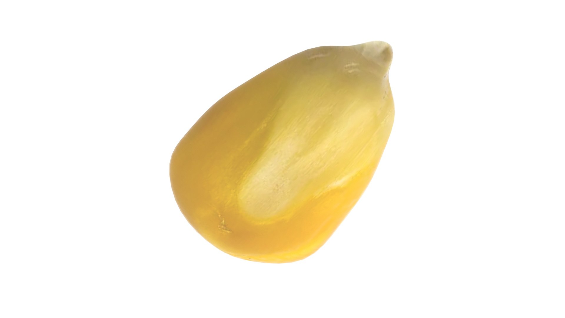 3D Corn Kernel Model - TurboSquid 1851055