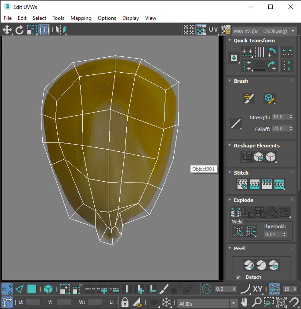 3D Corn Kernel Model - TurboSquid 1851055