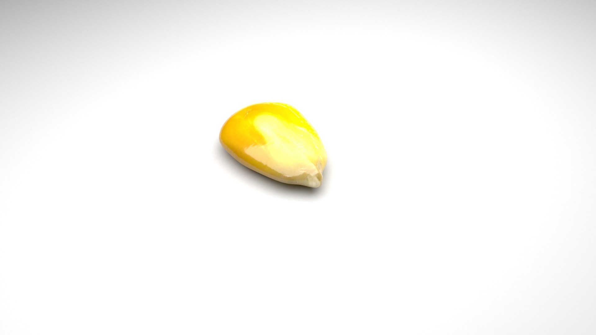 3D Corn Kernel Model - TurboSquid 1851055