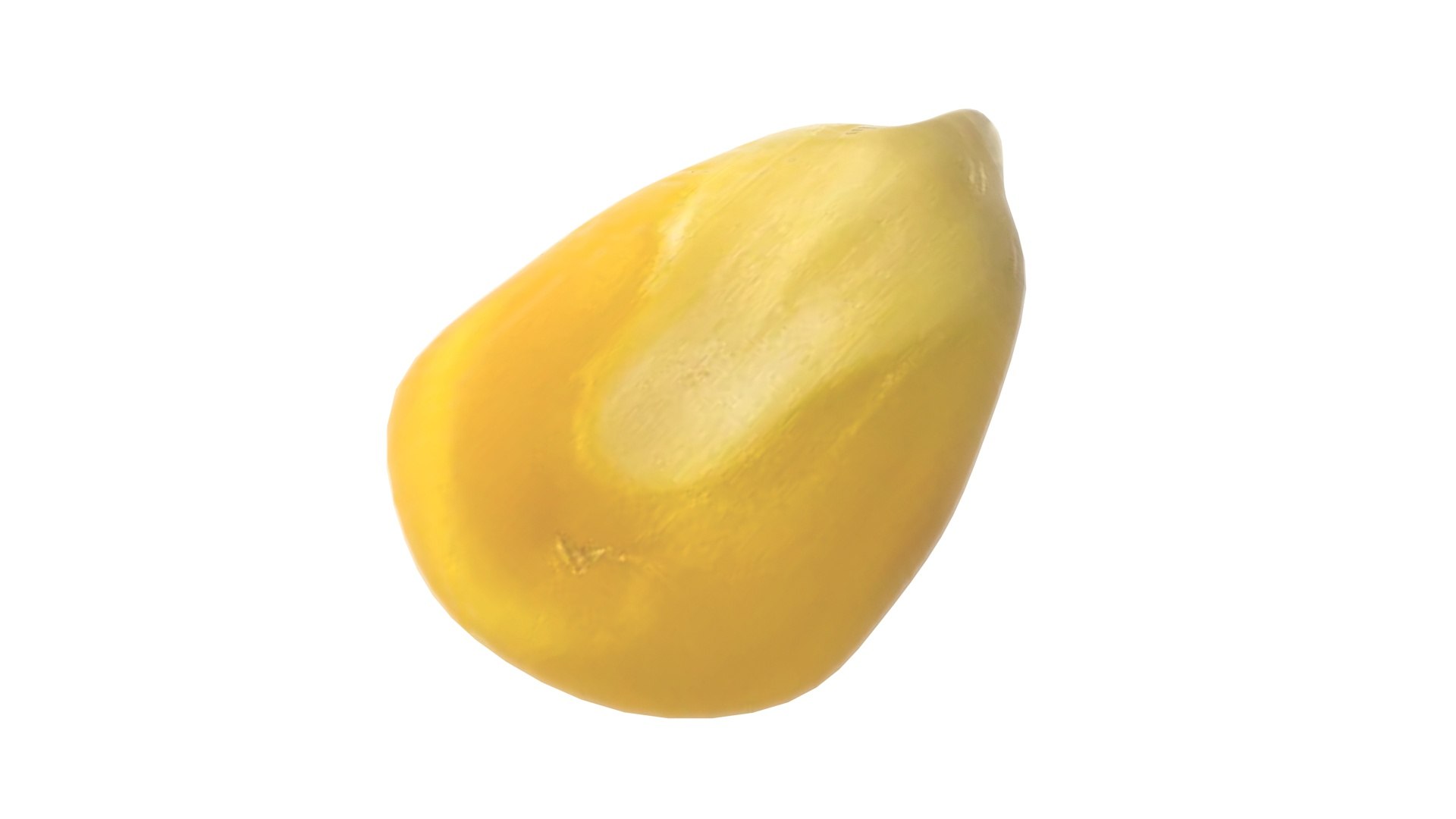 3D Corn Kernel Model - TurboSquid 1851055