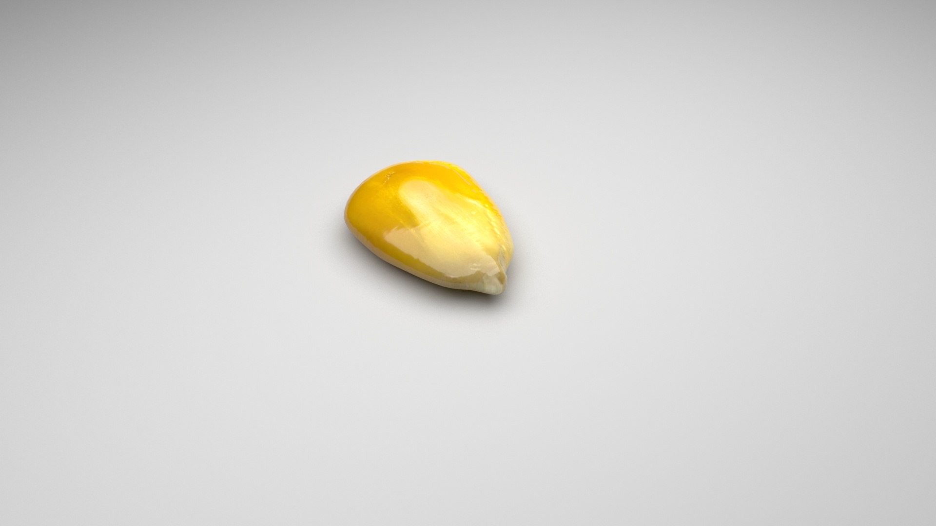 3D Corn Kernel Model - TurboSquid 1851055