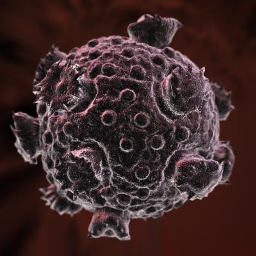 3d Model Reovirus Virus