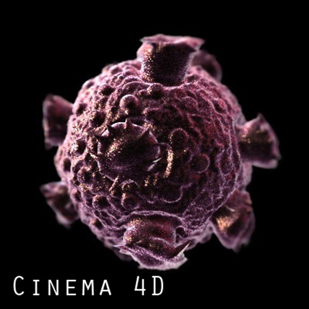 3d Model Reovirus Virus