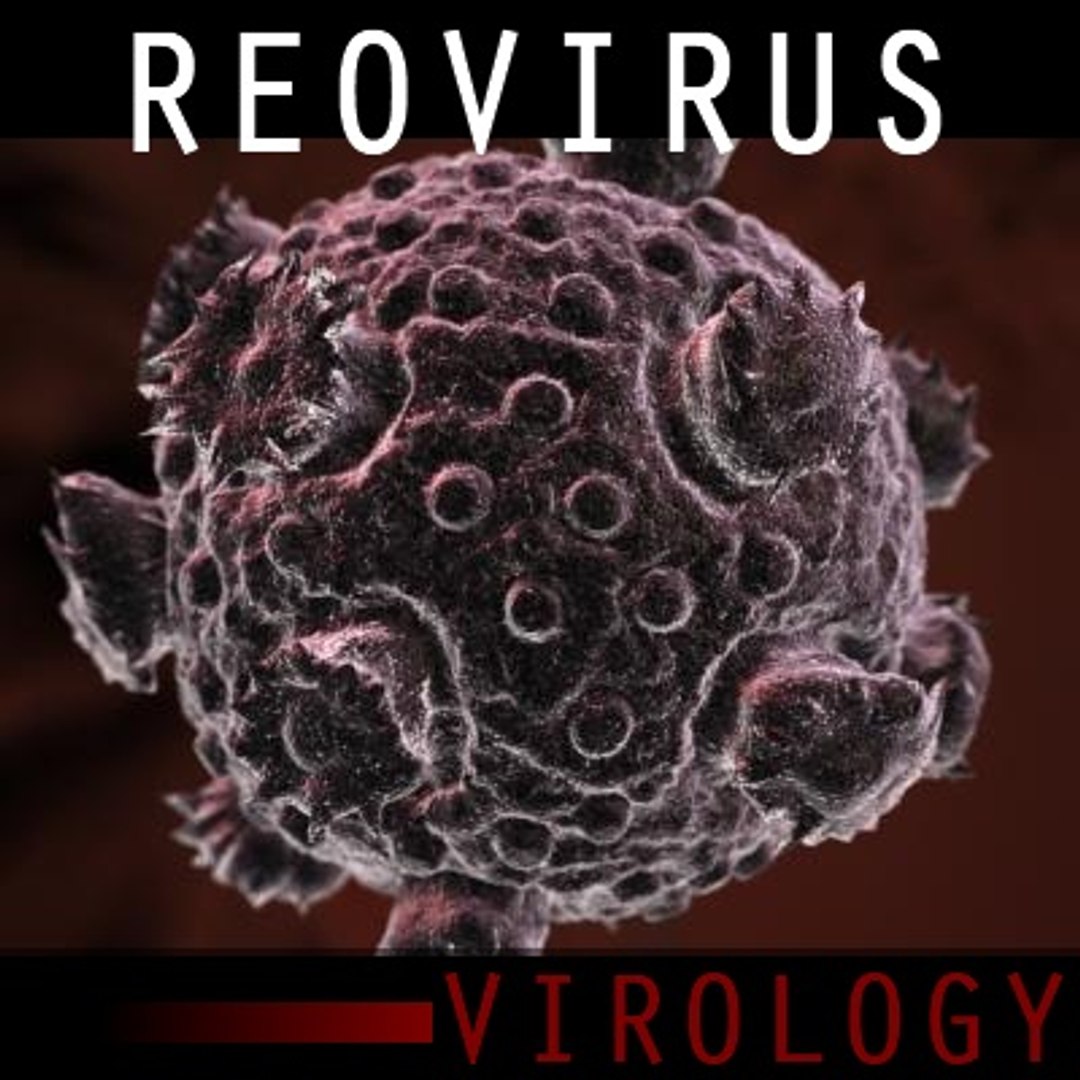 3d Model Reovirus Virus