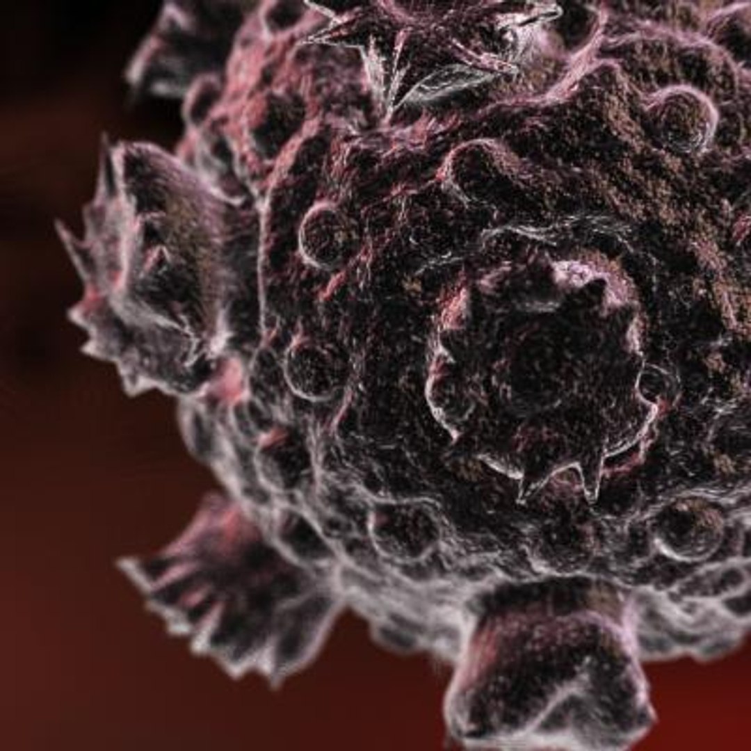 3d Model Reovirus Virus