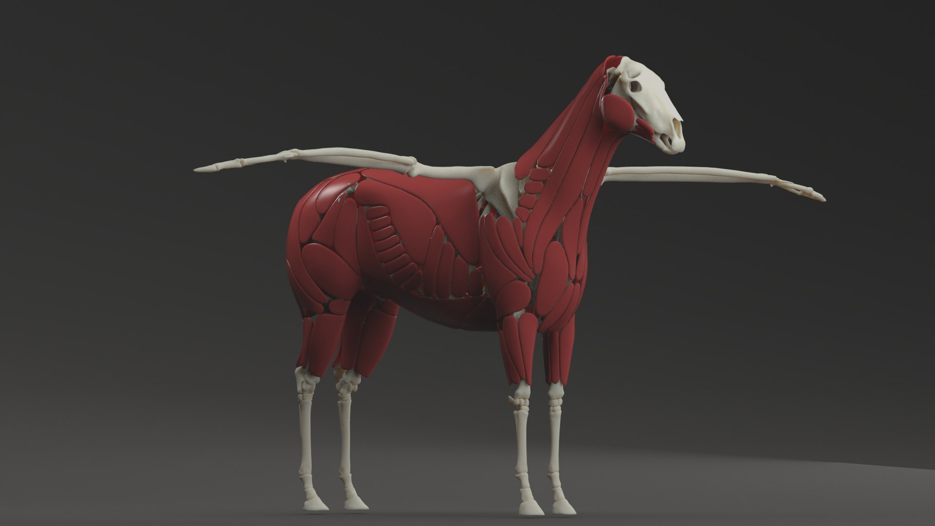 Pegasus 3D - TurboSquid 1435255