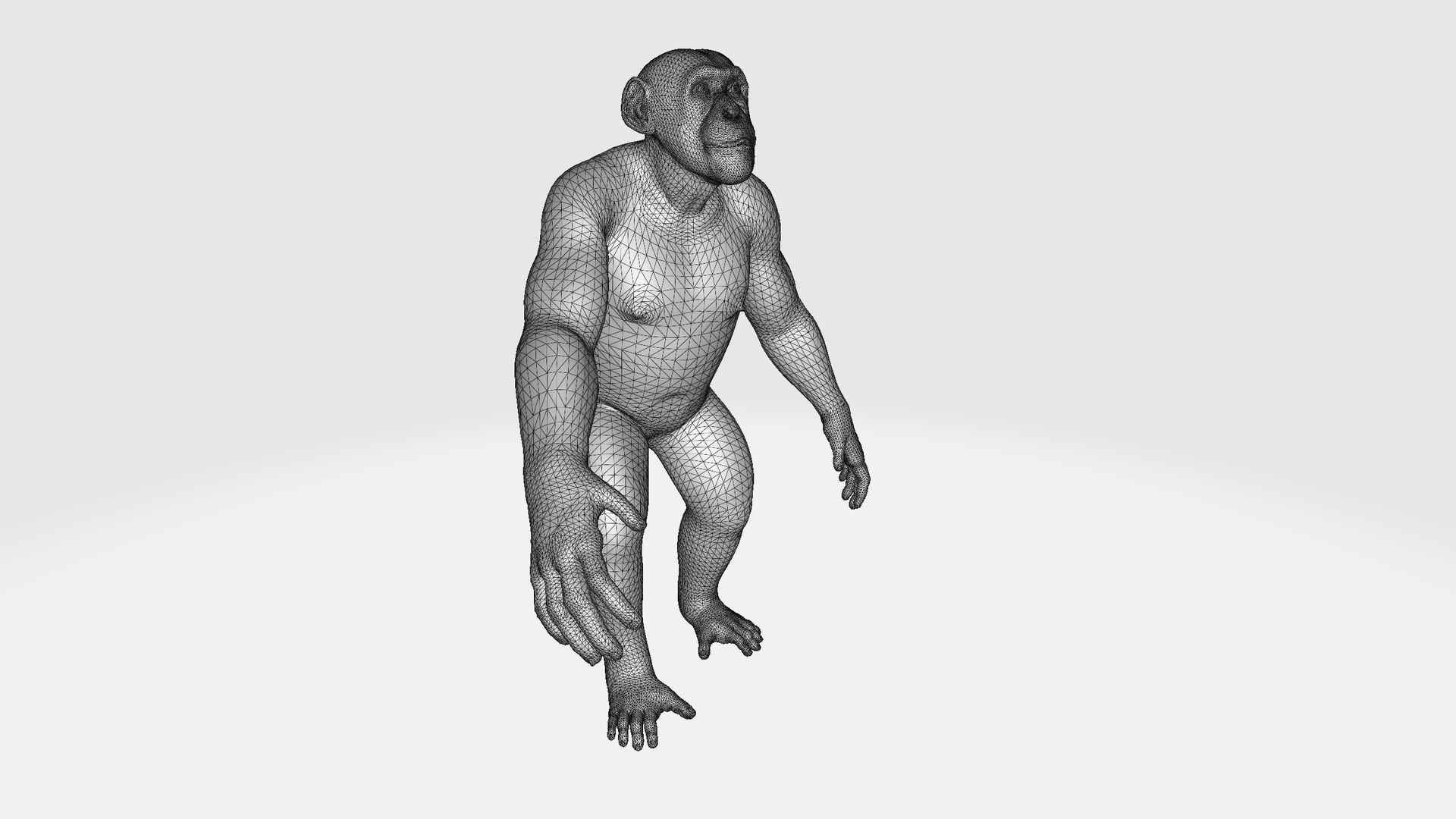 Mighty Ape 3D - TurboSquid 2402339