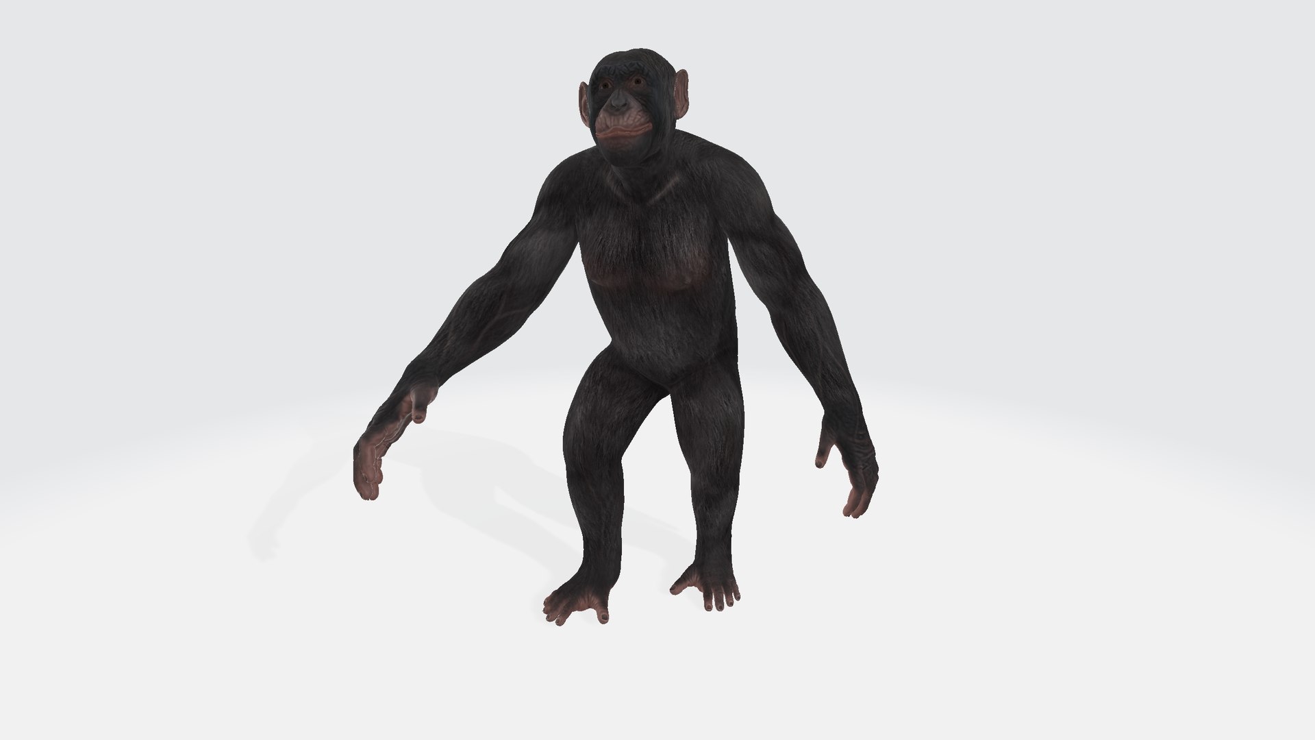 Mighty Ape 3D - TurboSquid 2402339