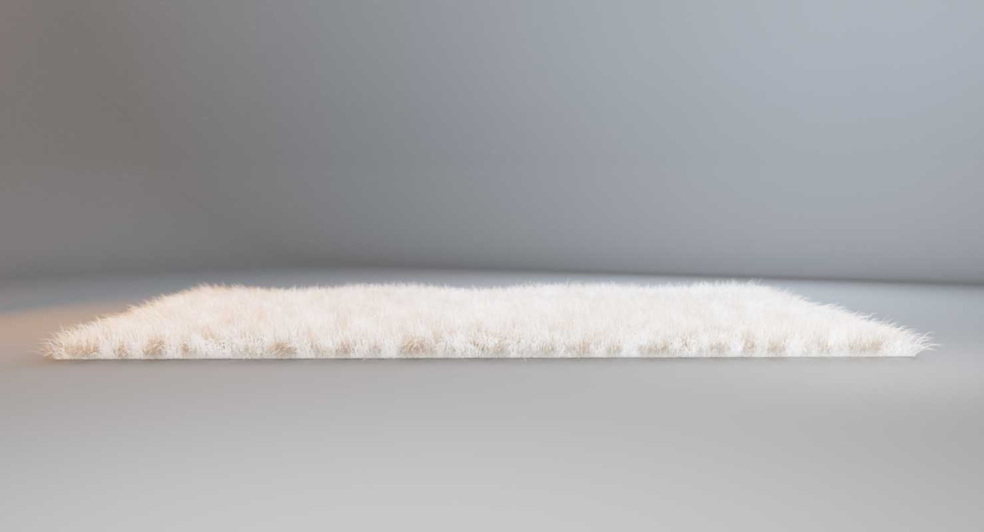 3D Furry Rug Model - TurboSquid 1226568